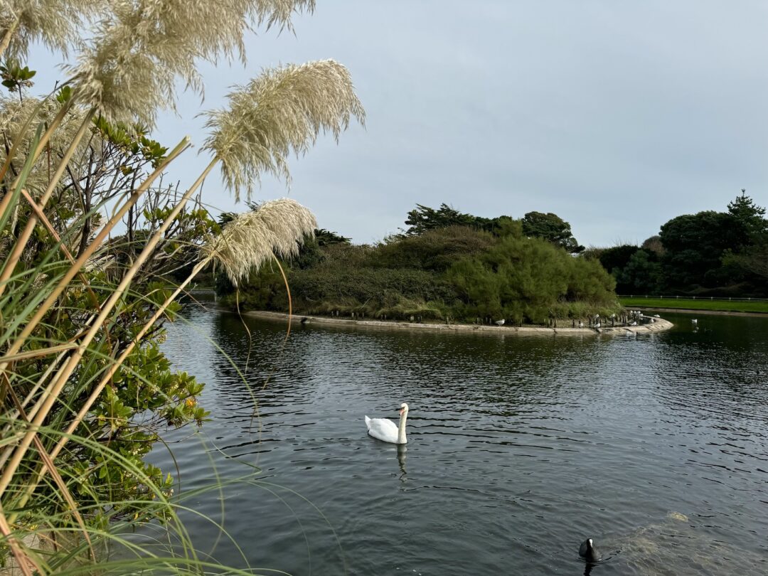 The Best Things To Do In Littlehampton West Sussex 2026
